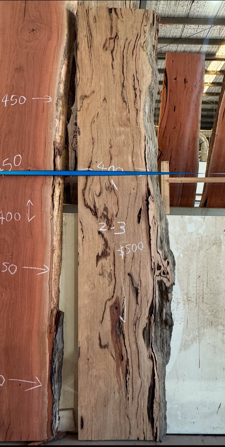 Timber Slabs - One Piece. – Nullarbor Sustainable Timber